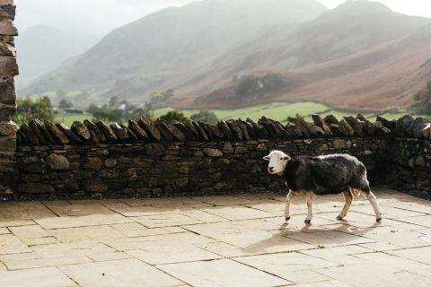 Hause Hall Farm Wedding - hannahhallphotography.co.uk